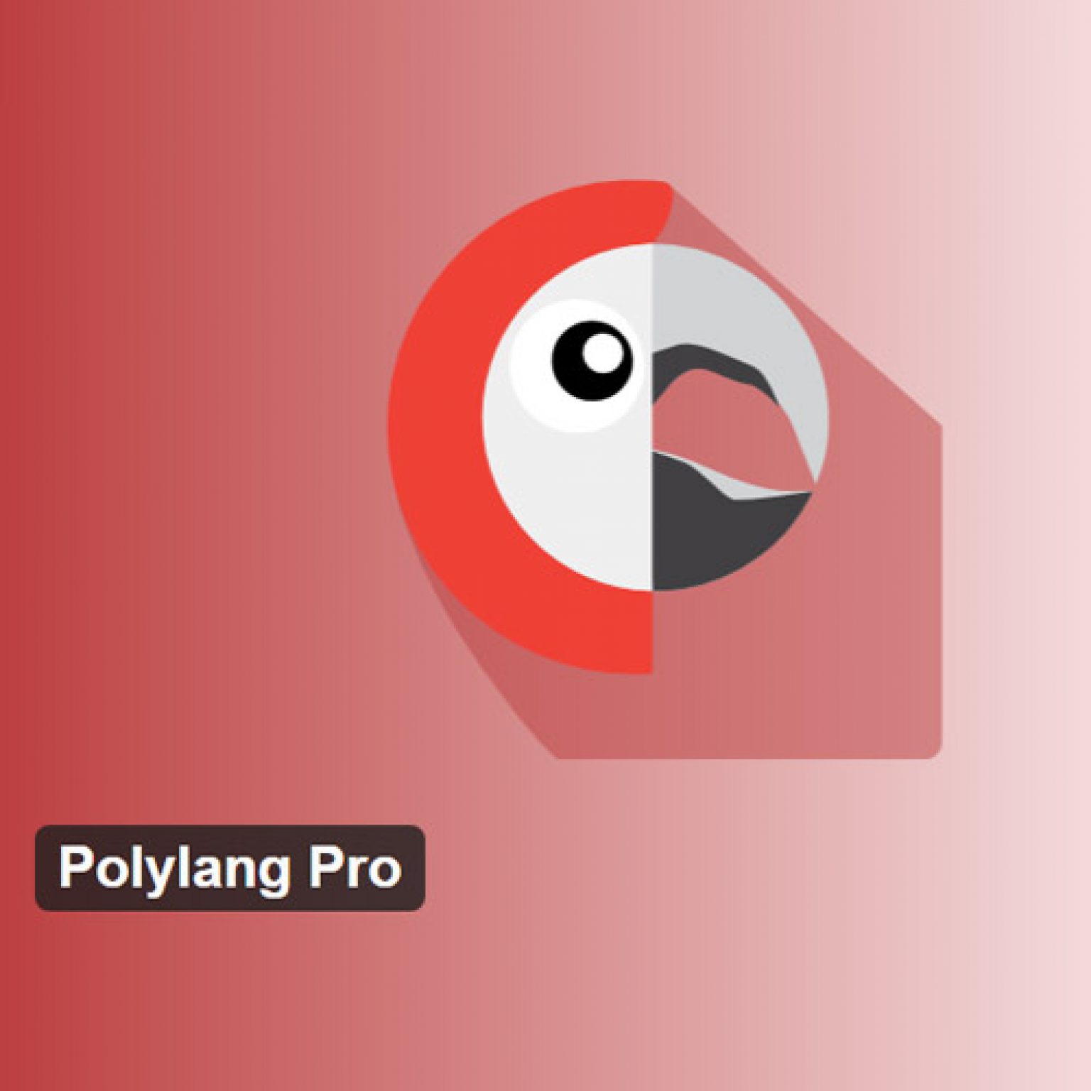 Polylang Pro Wordpress Plugin Sitebard Store